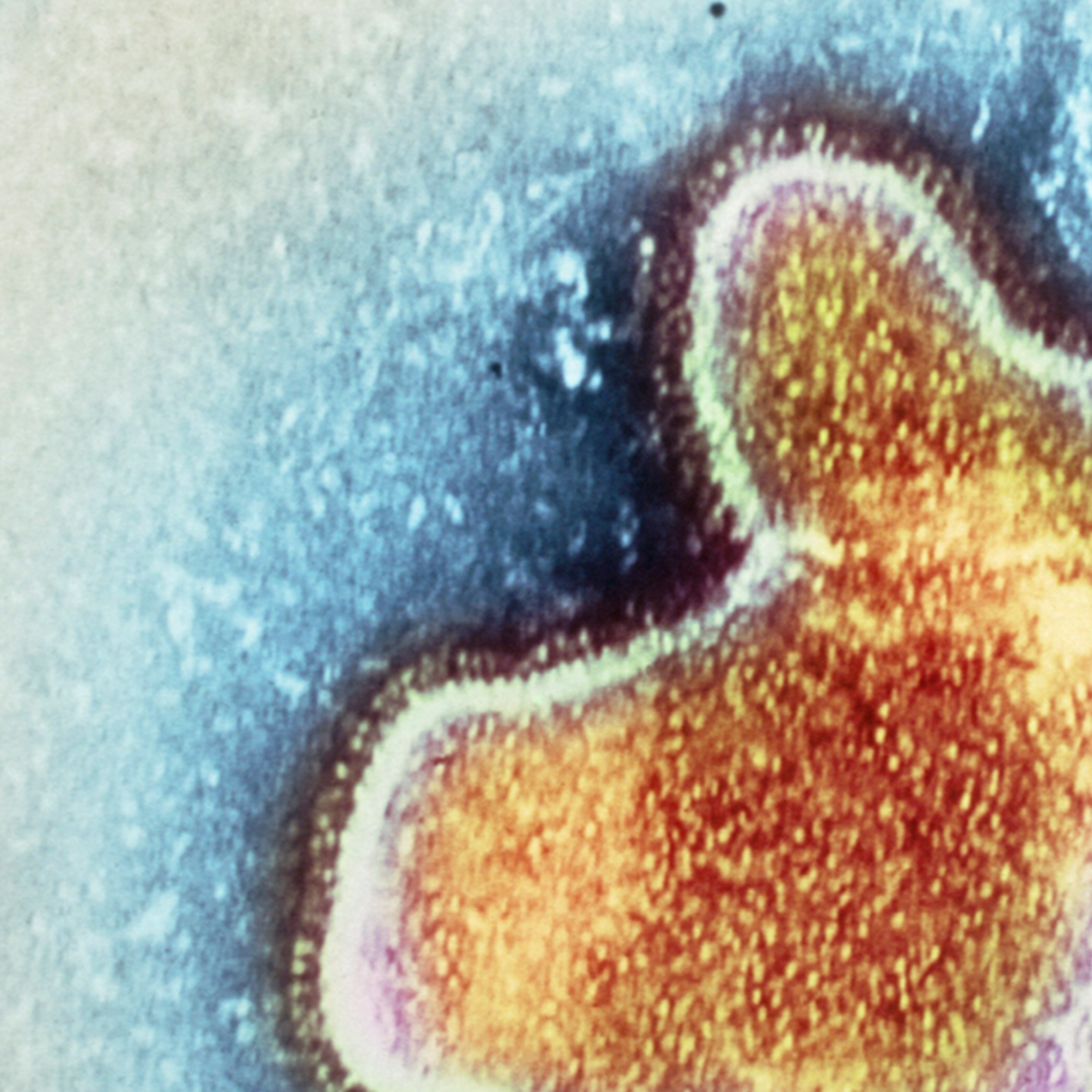 Stark Law and Anti-Kickback Final Rules Virtual Discussion - McDermott+